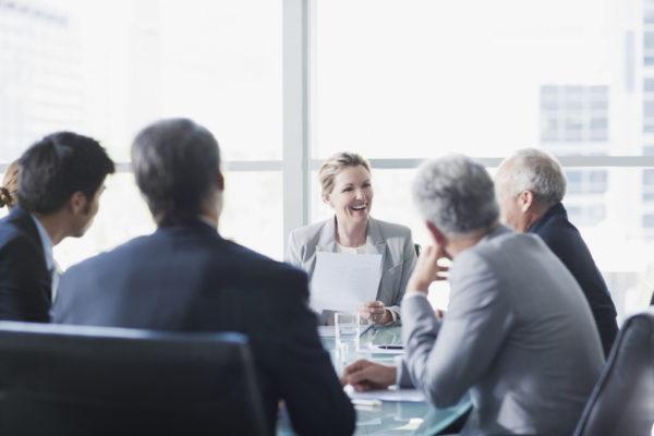 The Influential Company Secretary - Board Excellence